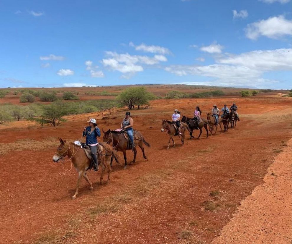 Tips For Mule Ride On Molokai Success - Your Holiday Partner For The ...