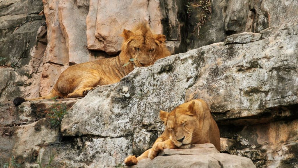 Why Oneloa Beach Is Better - Your Holiday Partner For The Honeyed Life